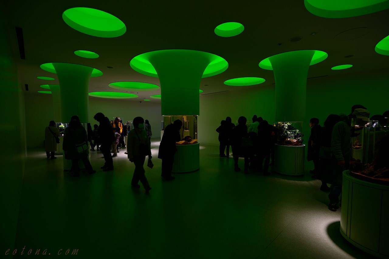 「魅せる」展示 「NIFREL（ニフレル）」 | きままな旅人