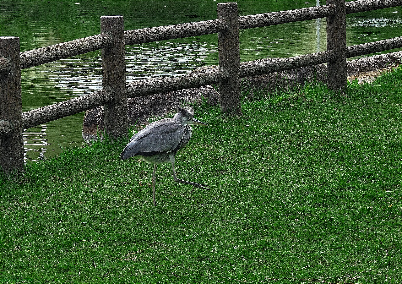 住之江公園散策 | きままな旅人